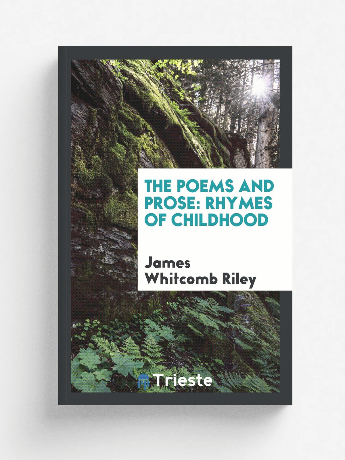 The poems and prose sketches of James Whitcomb Riley .