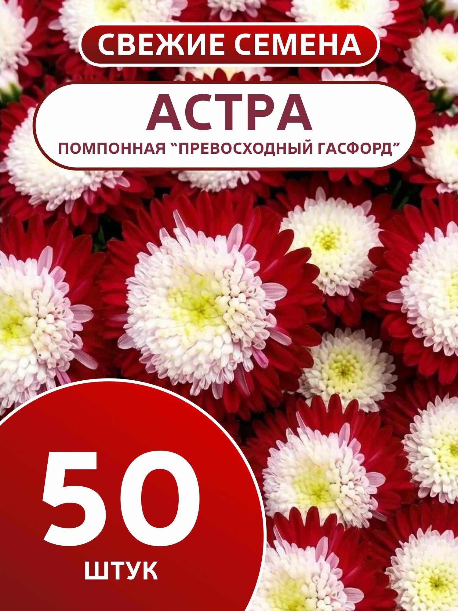 Астра помпонная семена для выращивания 50 шт