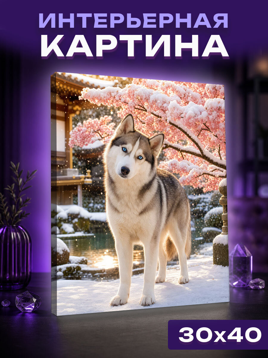Интерьерная картина Хаски под снегом сакуры