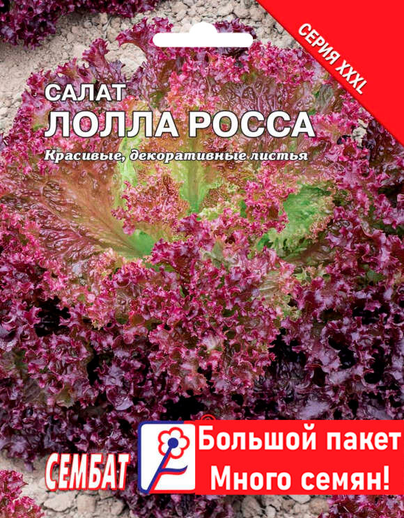 Семена Салат Лолла Росса 2г Сембат листовой салат семена для посева урожай