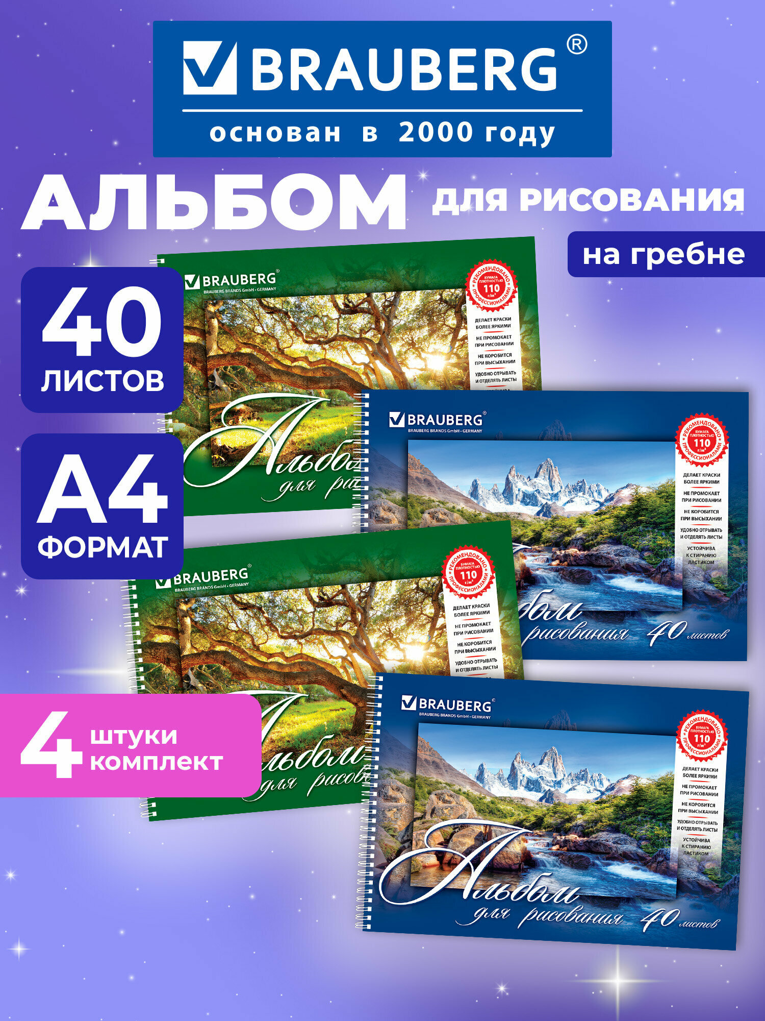 Альбом д/рис. А4 40 л, комплект 4 шт, гребень, обл. картон, BRAUBERG, 205х290 мм, Природа, 880035