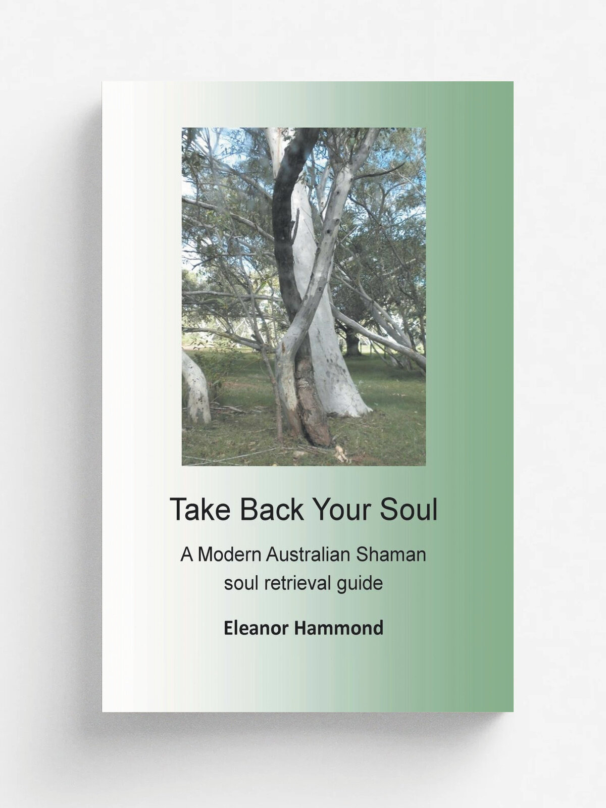 Take Back Your Soul