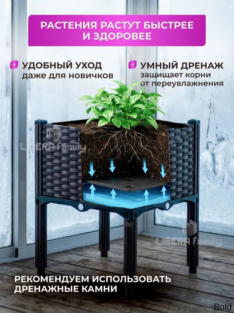 Грядка — фото 1