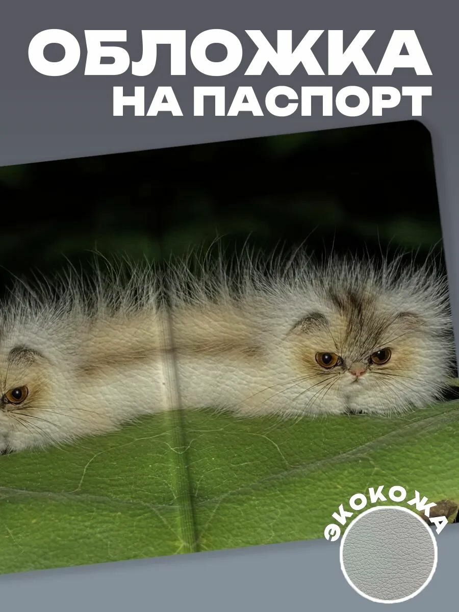 Обложка для паспорта