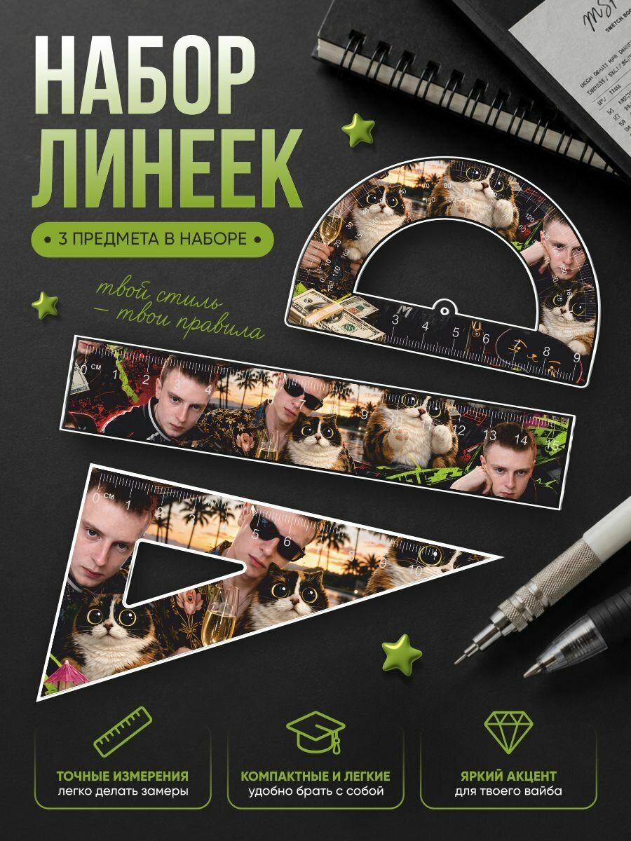 Линейки набор для школы мем котость