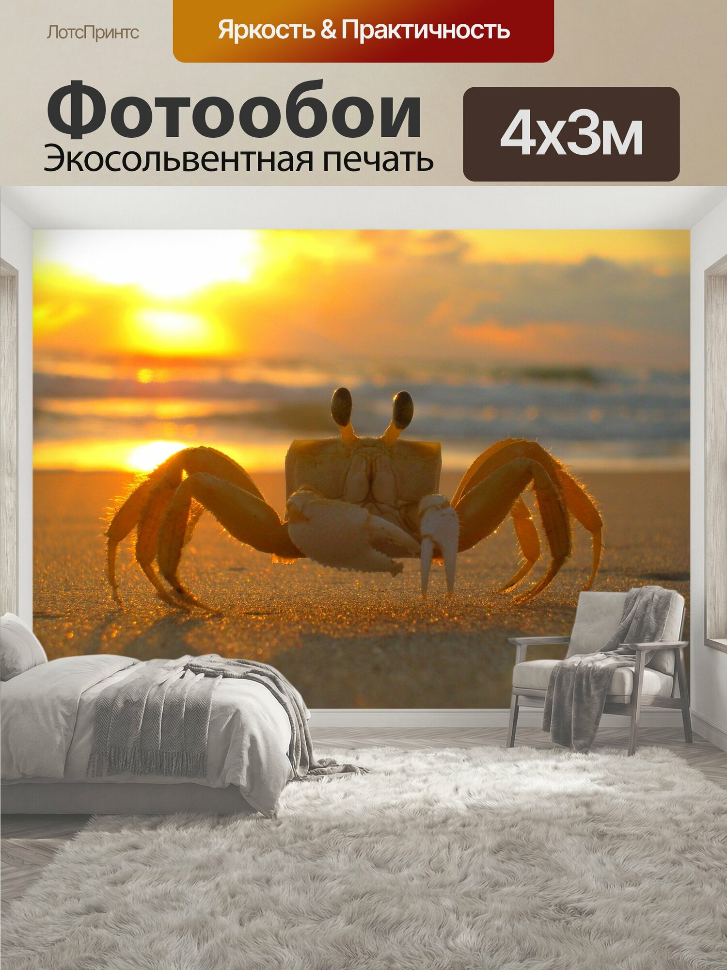 Фотообои "Краб, пляж, море" 400x300 см. экосольвентная печать