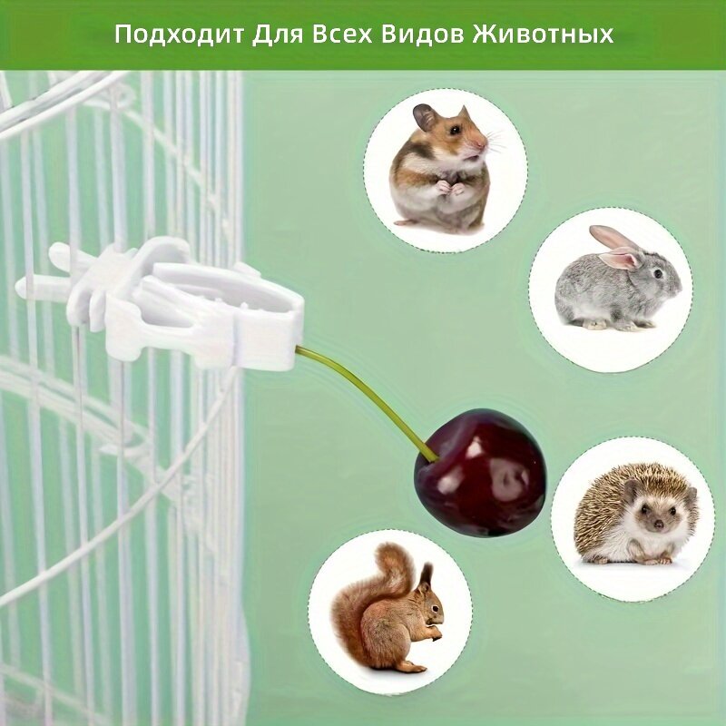 6 шт. кормушка для мелких птиц с зажимом и держателем, прочная кормушка для попугаев для фруктов и овощей с добавлением кальция из сепии, аксессуар для клетки для волнистых попугайчиков, канареек, какаду и чижей, цветной
