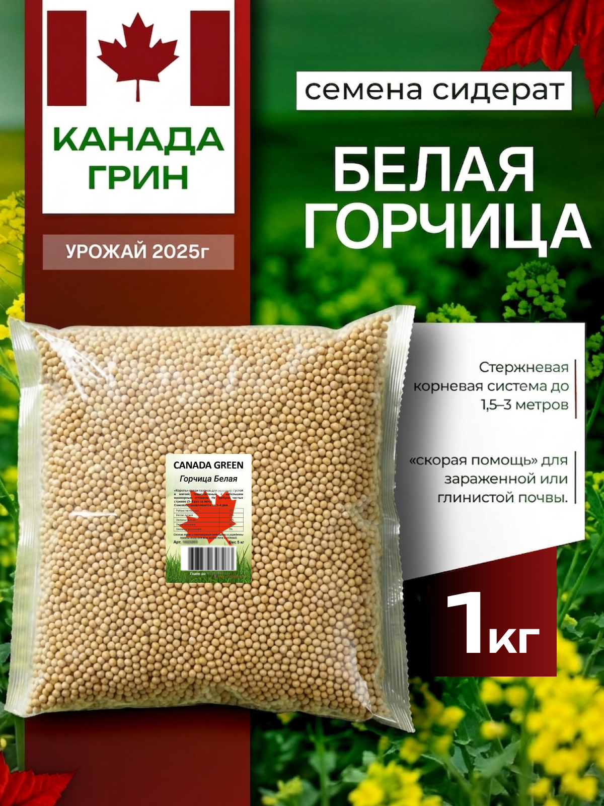 Горчица белая 1 кг семена сидерат для посева Канада Грин