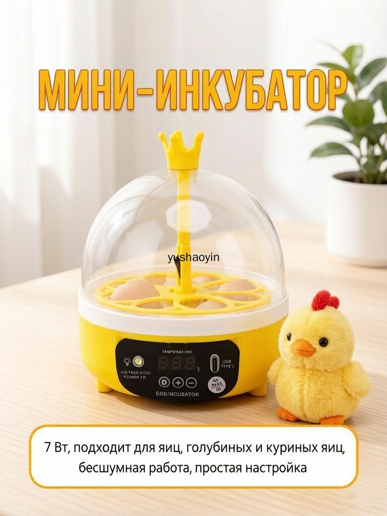 Мини-инкубатор для яиц, малый домашний, для детей, для высиживания курятины и перепелов, для домашнего использования и обучения для куриных и перепелиных яиц для обучения детей