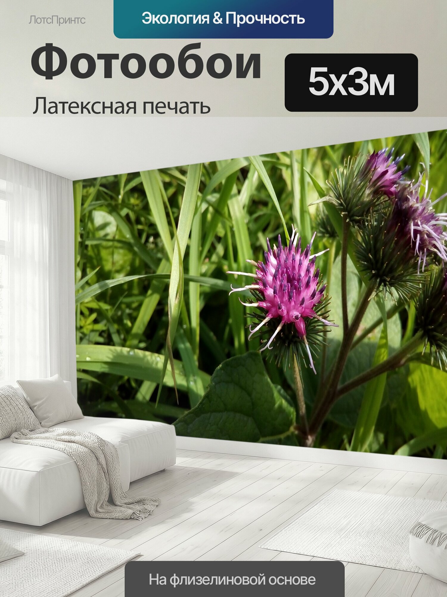 Фотообои моющиеся ударопрочные "Репейник, лопух, цветение" 500x300 см. латексная печать