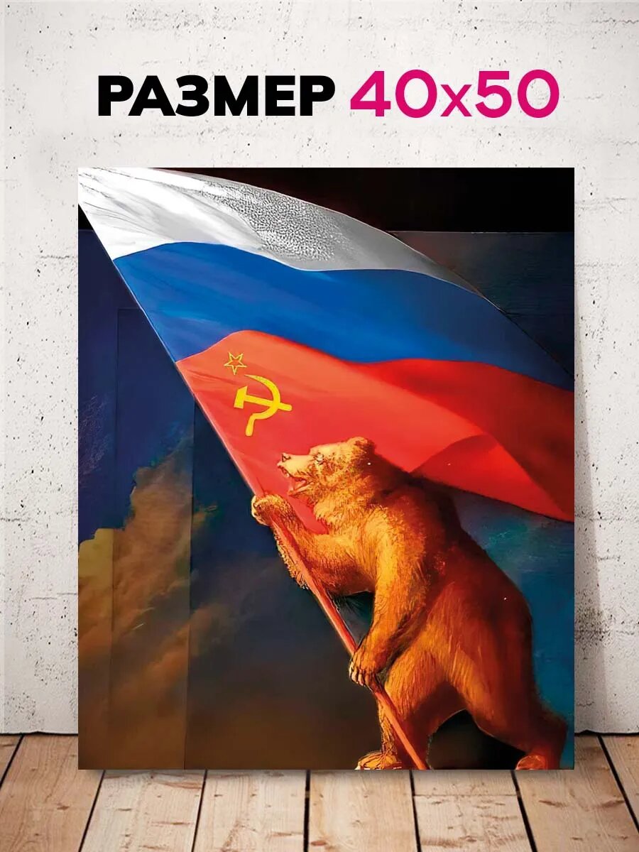 Картина на стену для дома Медведь с Триколором 50х40