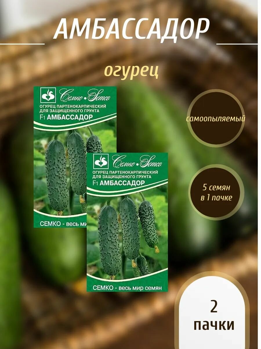 Огурец Амбассадор 2 пачки по 5 семян
