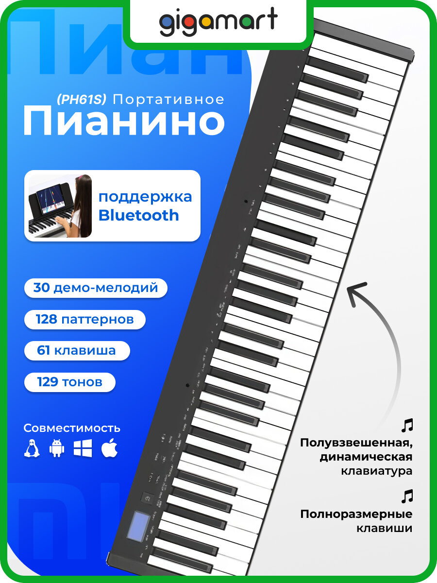 Цифровое пианино Portable Electronic Piano (PH61S) Black, 61 клавиша