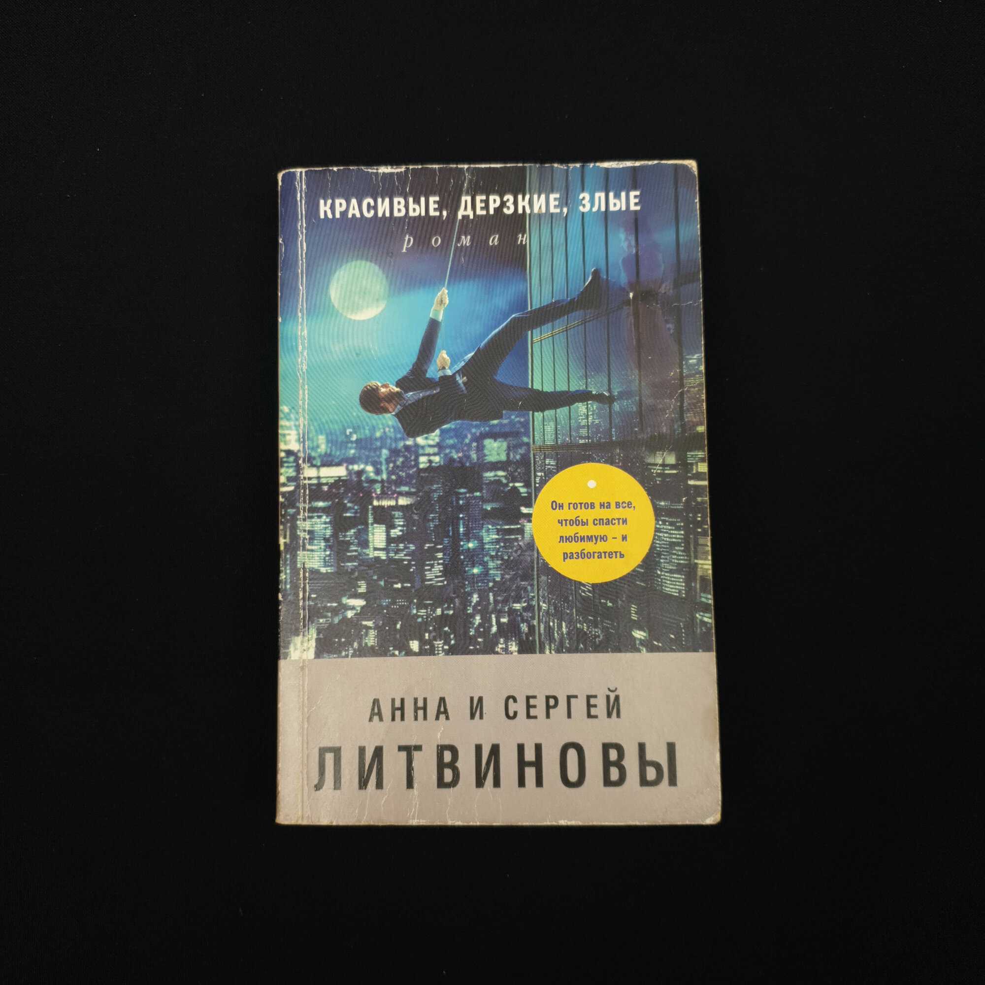 Красивые, дерзкие, злые. Книга, роман современных российских авторов Анны и Сергея Литвиновых
