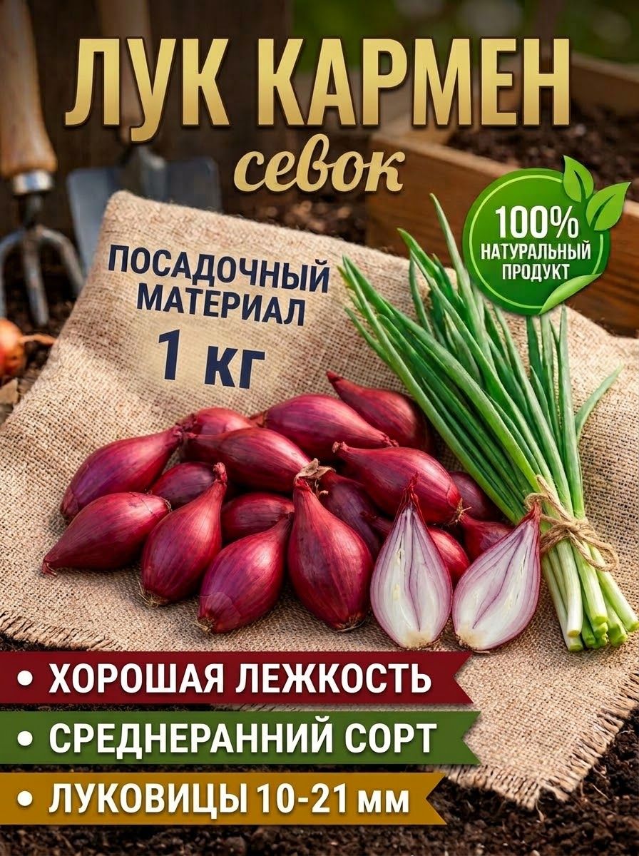 Лук севок для посадки Кармен 1кг