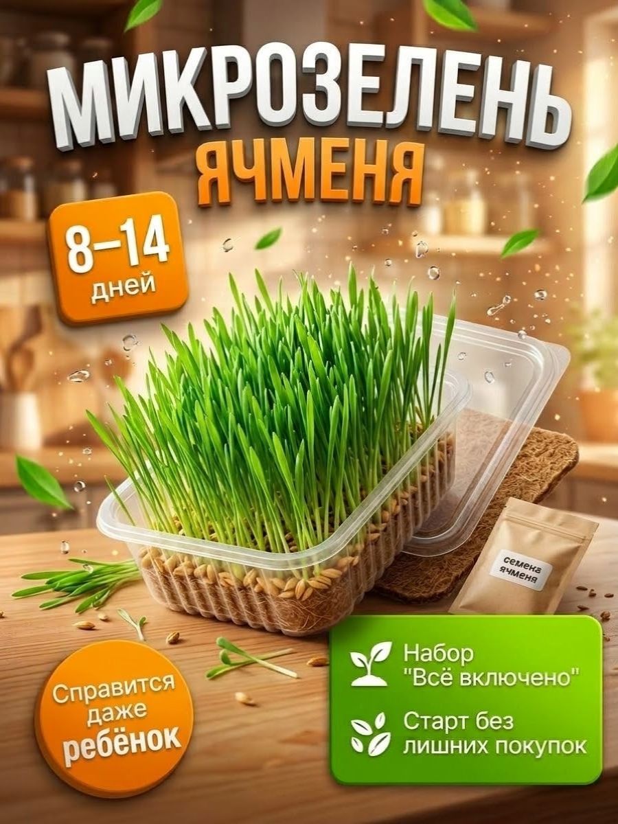 Набор для выращивания микрозелени Всё включено - Ячмень: контейнер с крышкой + джутовый коврик + семена ячменя готовый старт без лишних покупок
