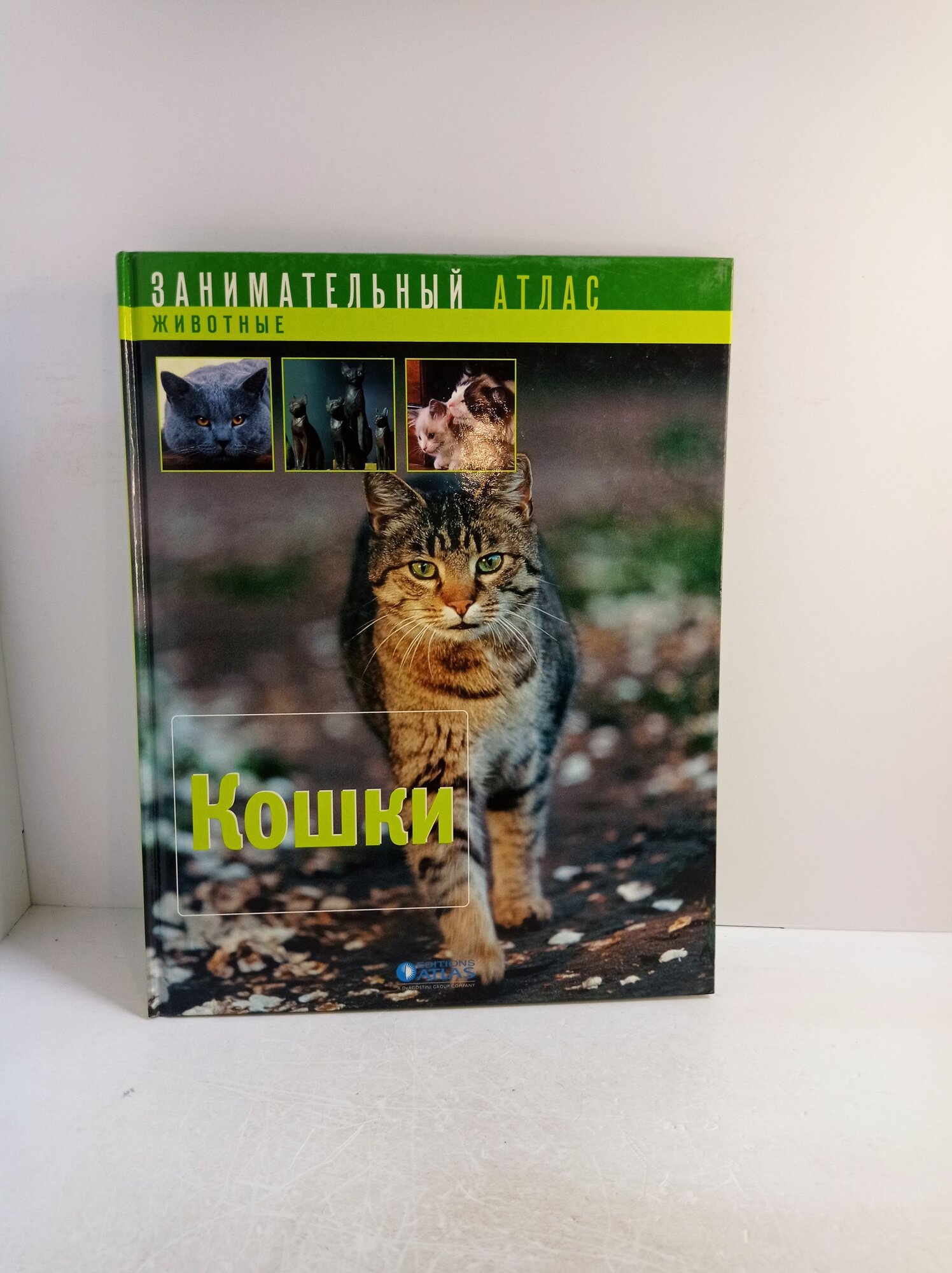 Занимательный атлас. Кошки