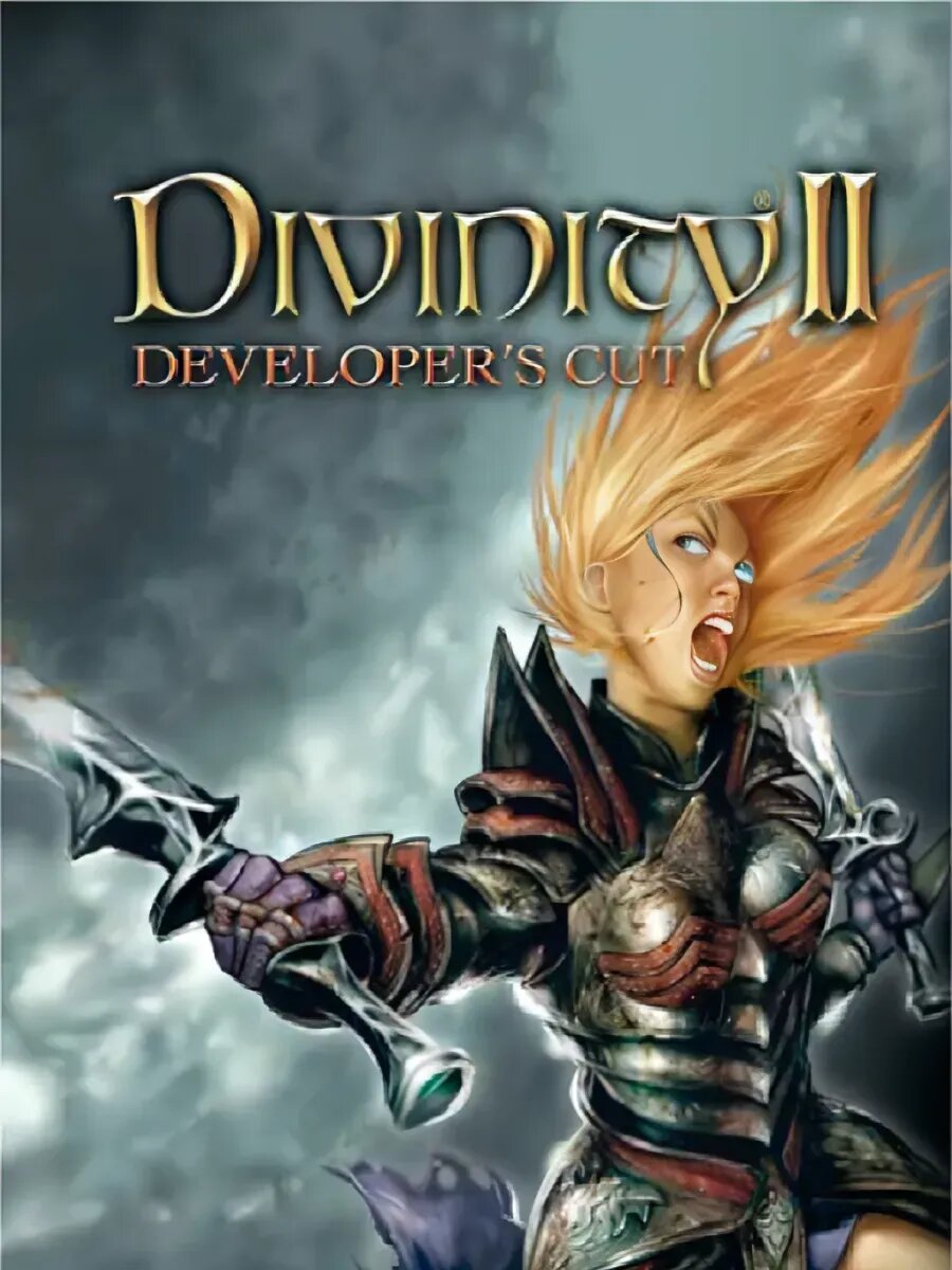 Divinity 2 Developer's Cut, игра для ПК (на флешке USB)