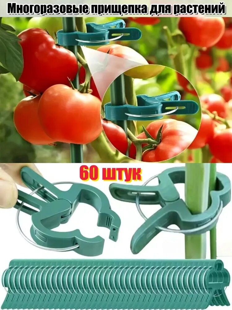 Опора для растений,3см,60шт