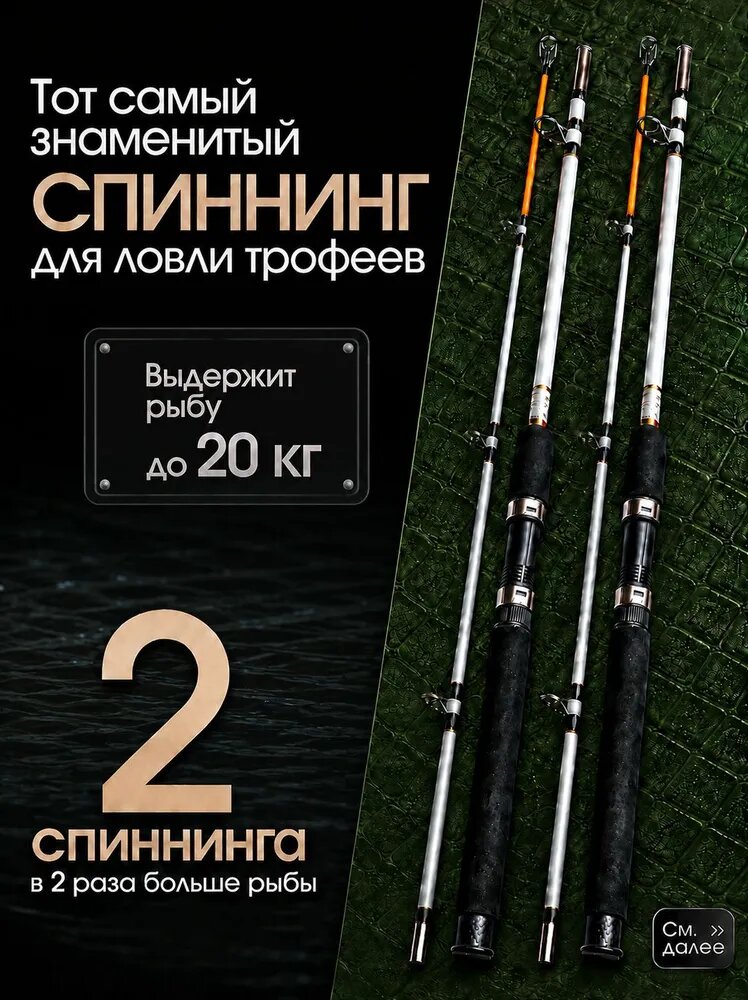 Спиннинг для рыбалки 150 см 2 шт. Донное удилище 150 см