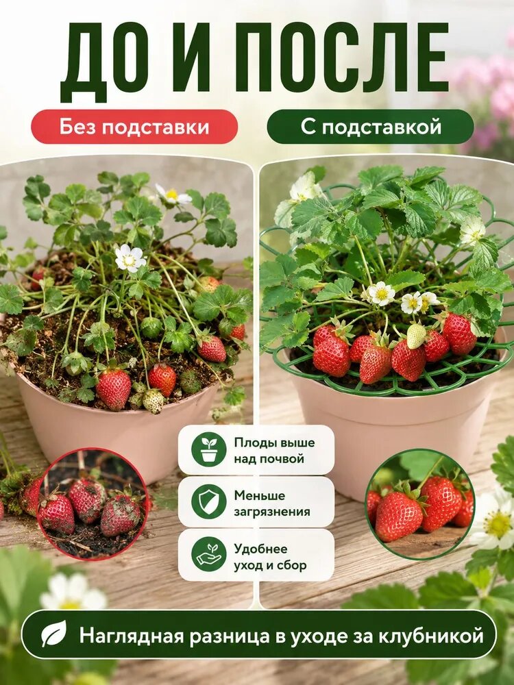 Шпалера,30см,15шт — фото 1