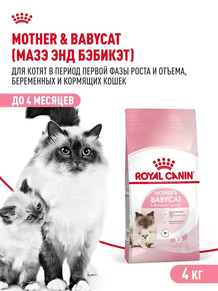 Сухой корм для котят и кошек Royal Canin Mother&Babycat для беременных и кормящих, 4 кг