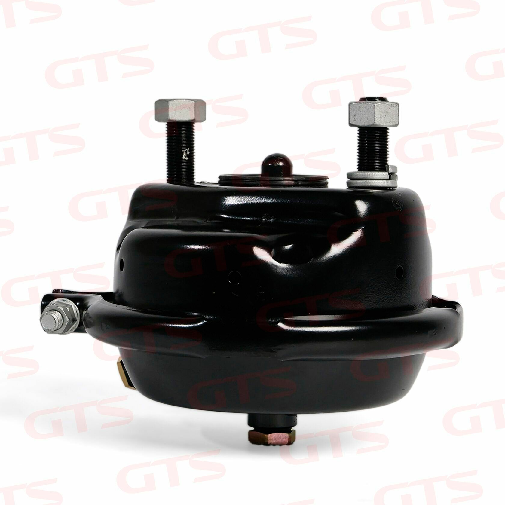 GTS Тормозная камера дискового тормоза, 24 G150102003