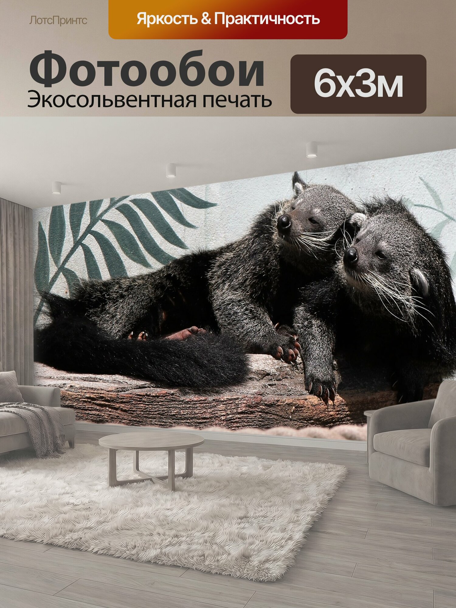 Фотообои "Бинтуронг, медведь, дикая природа" 600x300 см. экосольвентная печать