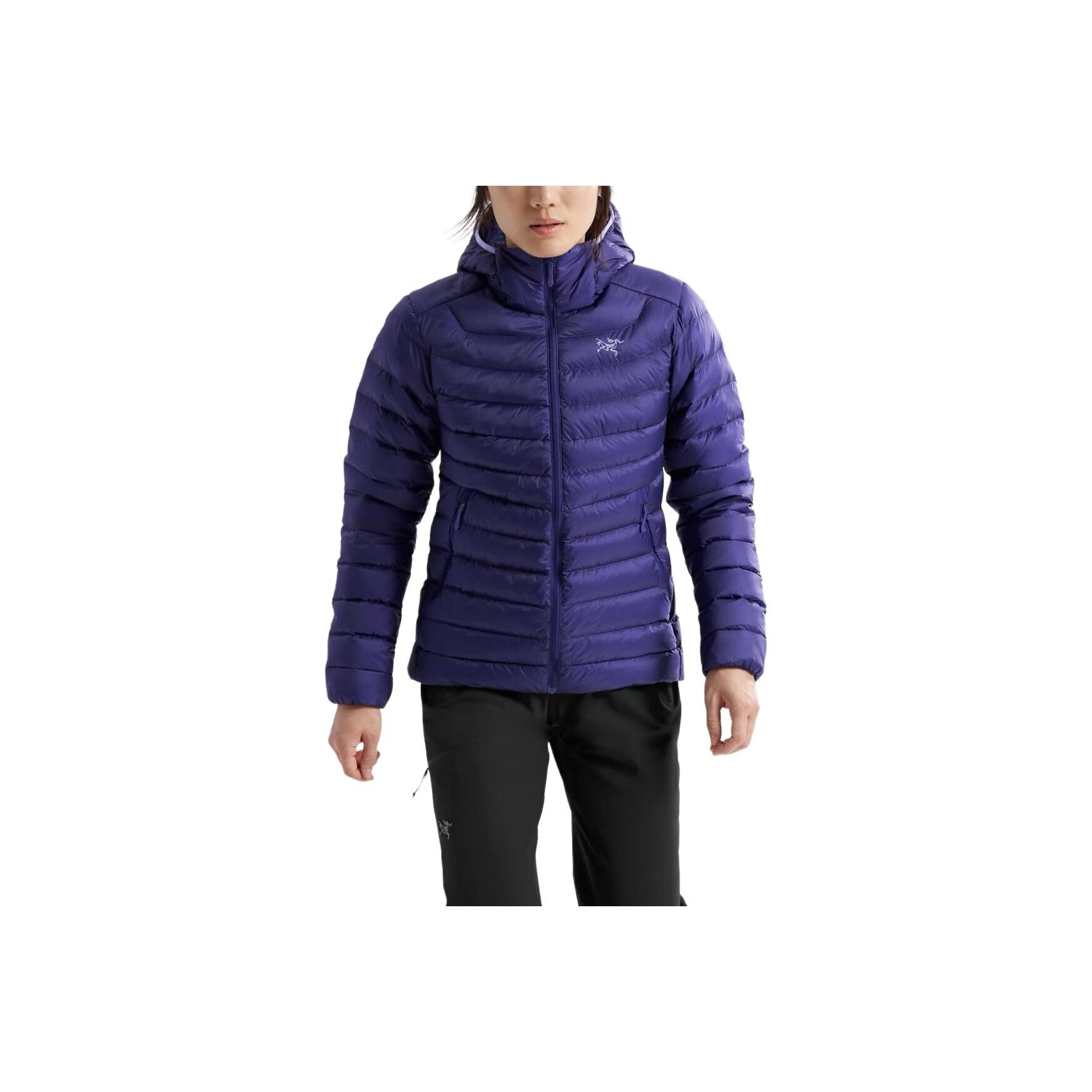 Пуховик Arc'teryx