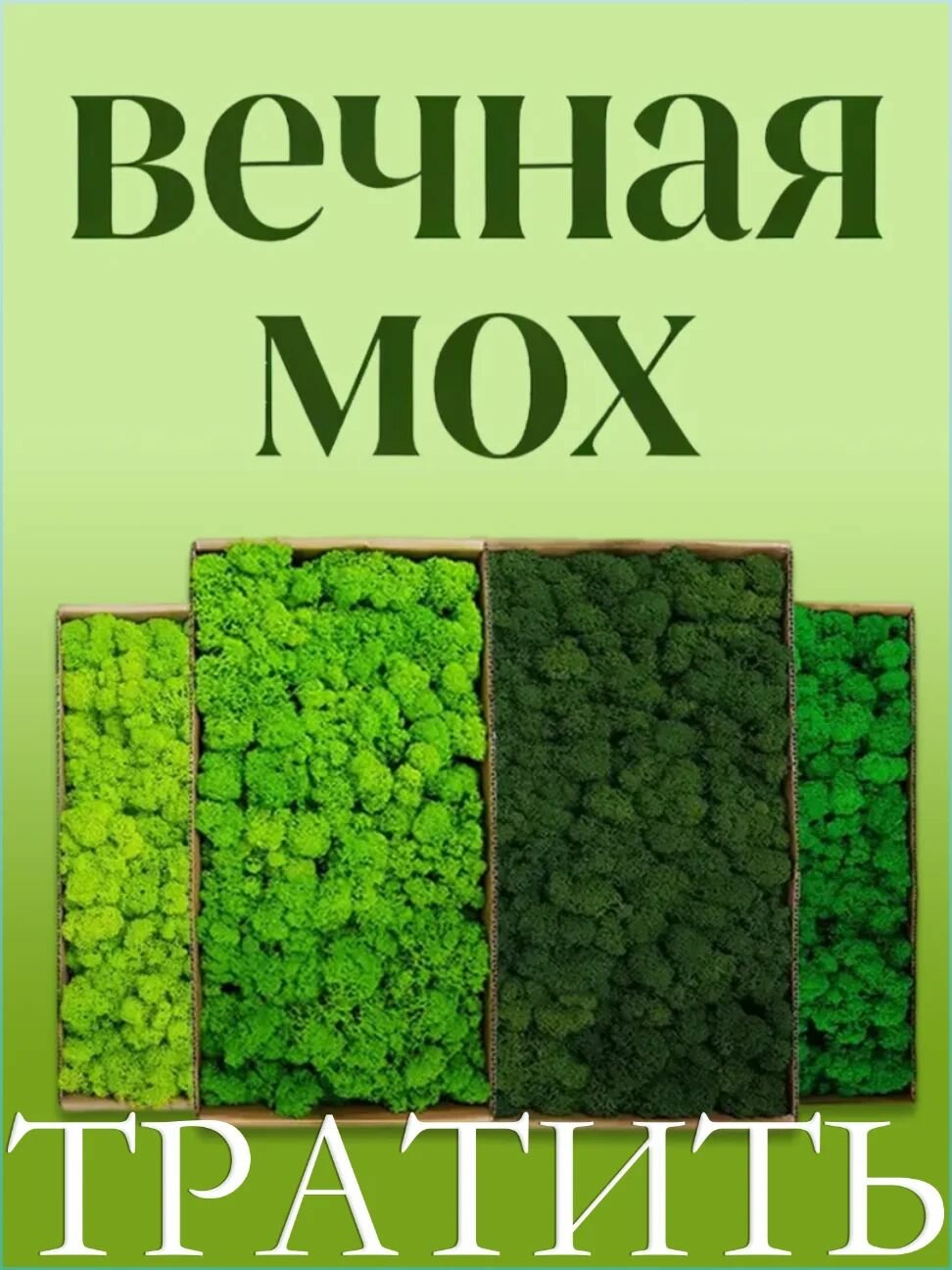 Стабилизированный мох Мох, 7 см, 500 гр, 1 шт