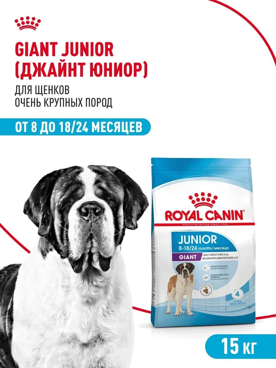 Сухой корм ROYAL CANIN GIANT JUNIOR корм для щенков с 8 до 18/24 месяцев , 15 кг