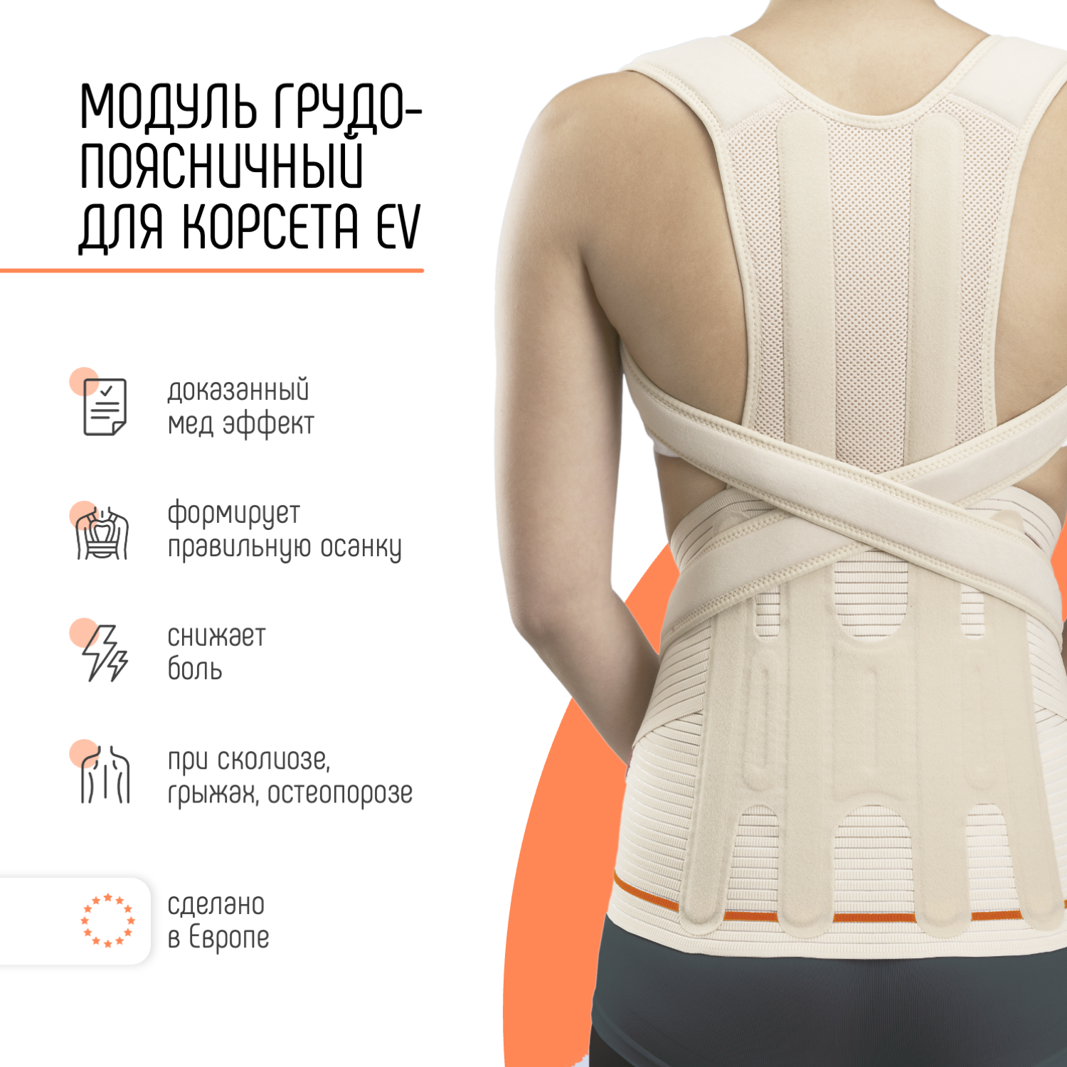 Грудопоясничный модуль Dorso Evotec для спины послеоперационный, ортез корректор осанки ORLIMAN Испания EV-203 / EV-303