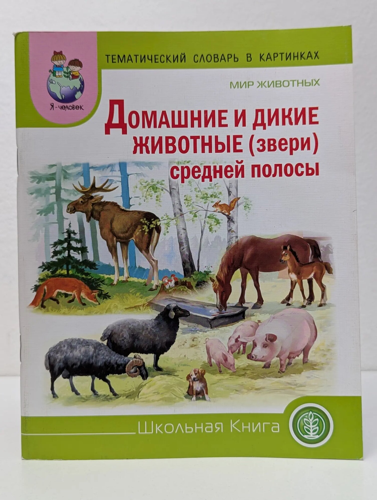 Счастливый ребенок. Тематический словарь в картинках. Мир животных. Домашние и дикие животные средней полосы Сборник 2013
