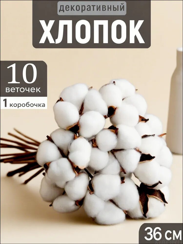 Сухоцветы Хлопок, 36 см, 10 шт