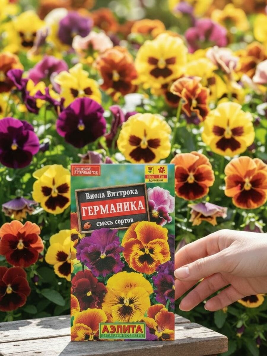 Семена цветов Виола Германика фиалка