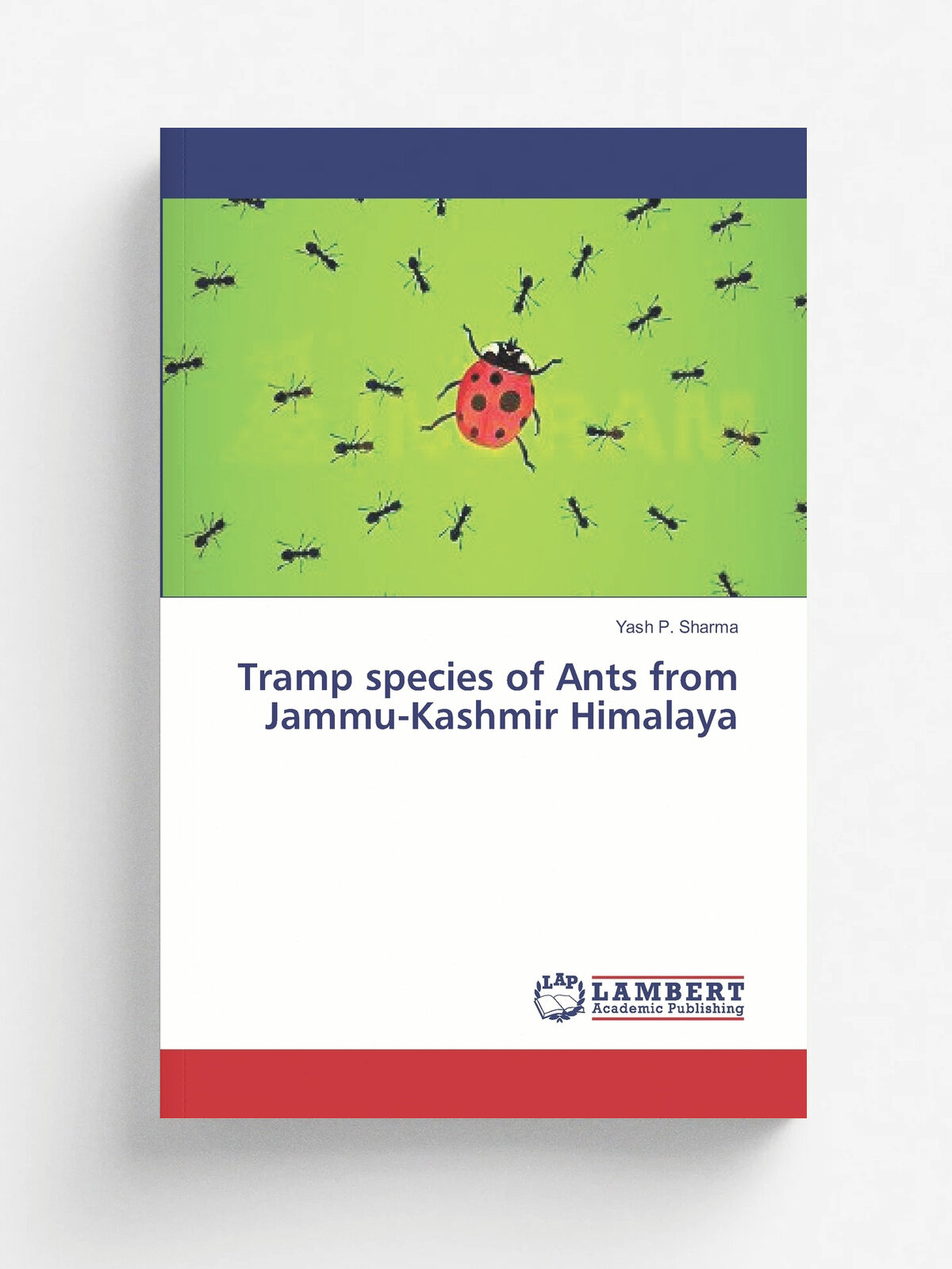 Tramp species of Ants from Jammu-Kashmir Himalaya