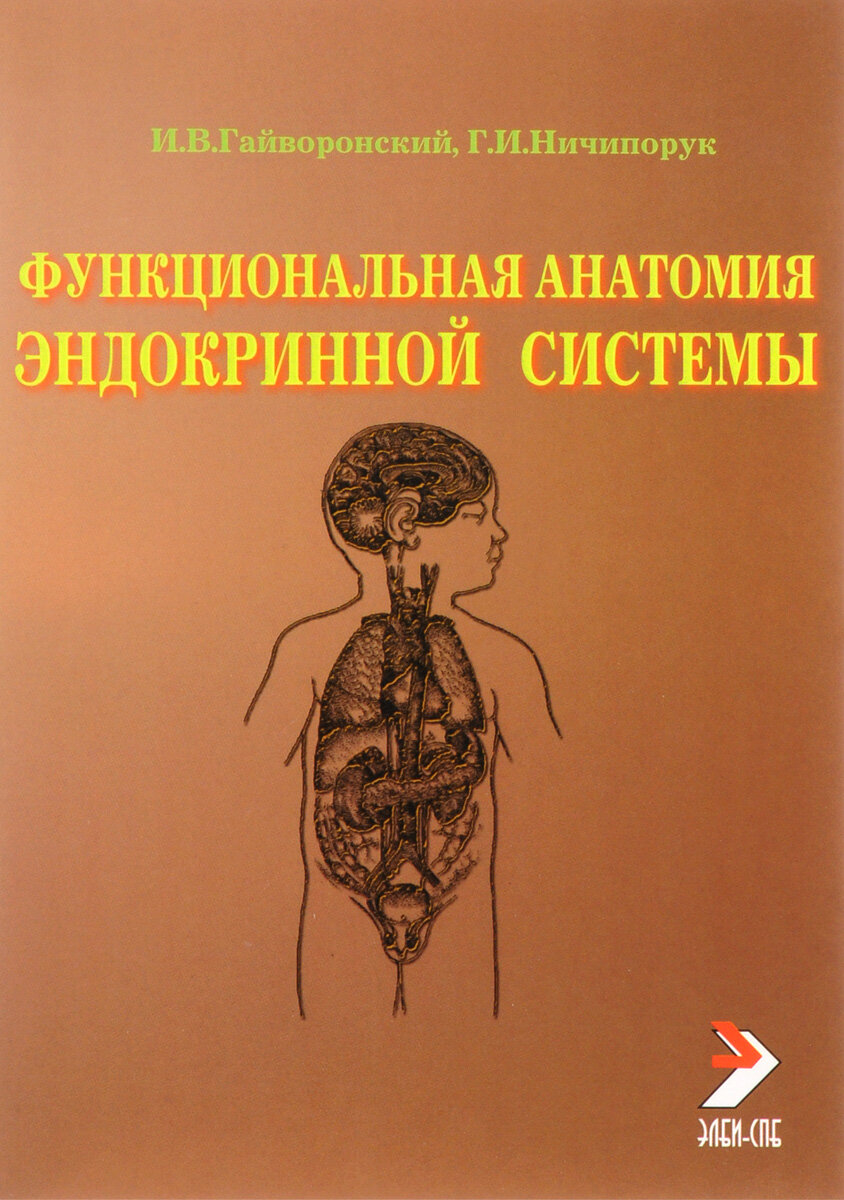 Функциональная анатомия эндокринной системы. Учебное пособие