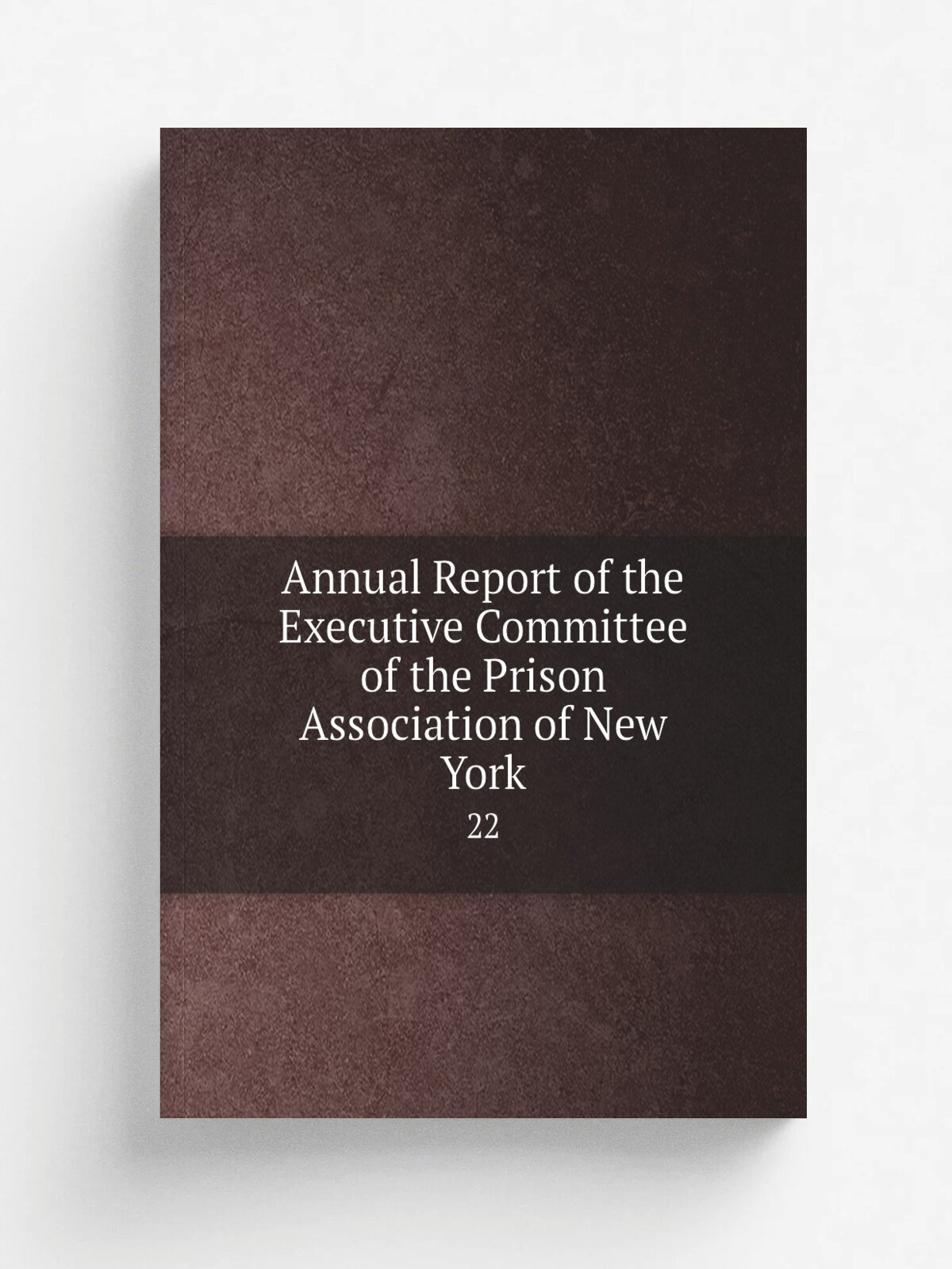 Annual Report of the Executive Committee of the Prison Association of New York. 22