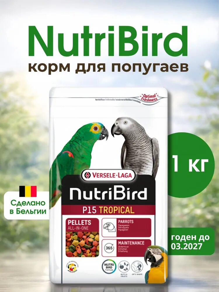 Зерновая смесь для здоровья попугаев P15 tropical