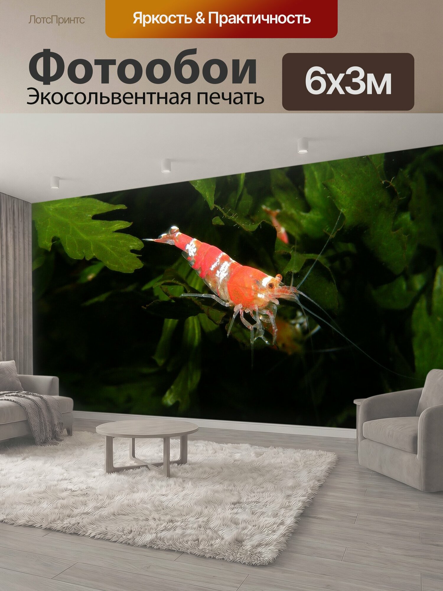 Фотообои "Креветка, аквариум, существо" 600x300 см. экосольвентная печать
