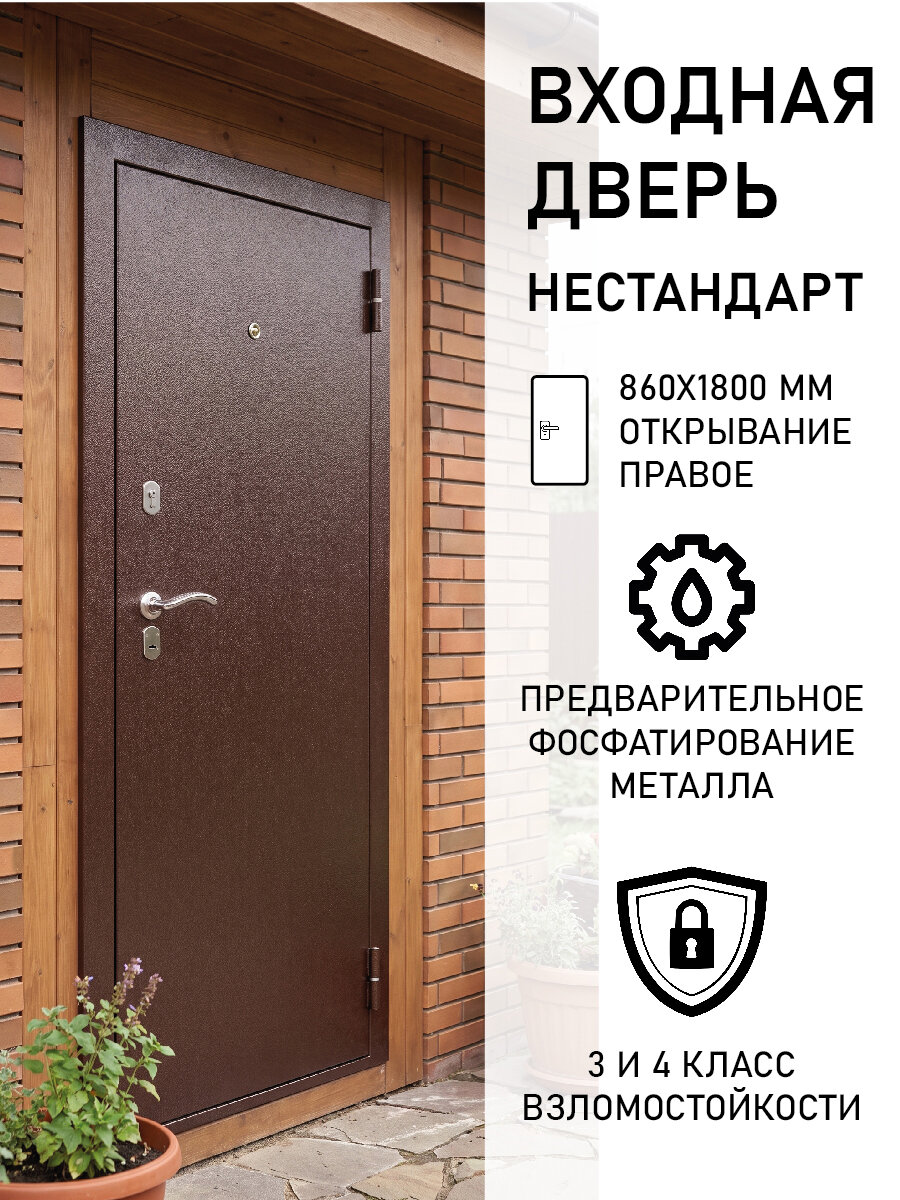 Входная дверь ЦСД Мини 860х1800 Правая