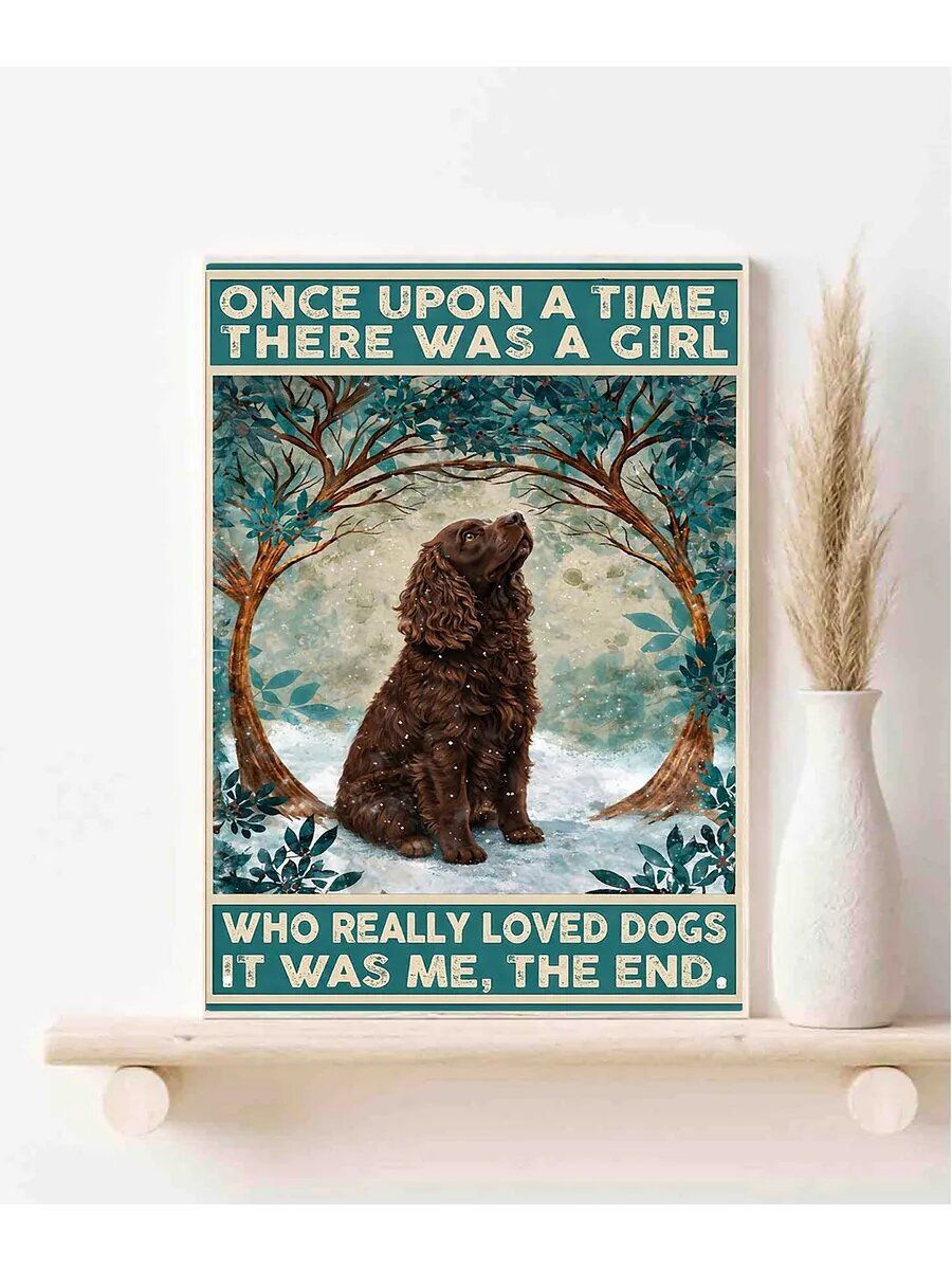 Бойкин-спаниель, Once Upon a Time, Плакат 30x42см