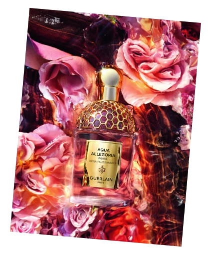 Aqua Allegoria Forte Rosa Palissandro eau de parfum 75 мл для женщин и мужчин
