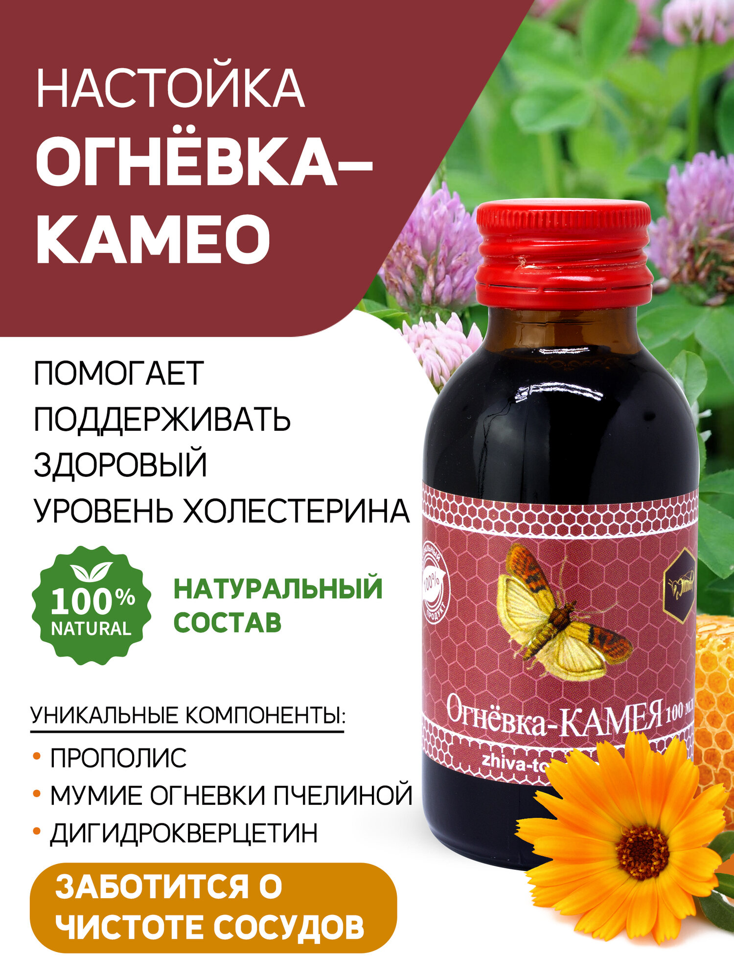 Настойка Огневка Камея - для снижения уровня холестерина в крови, гипертония, повышенный холестерин 100 мл.