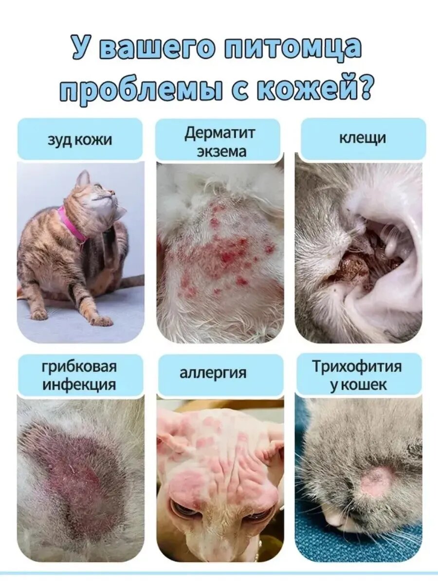 Спрей от лишая для кошек быстро избавляет от грибка