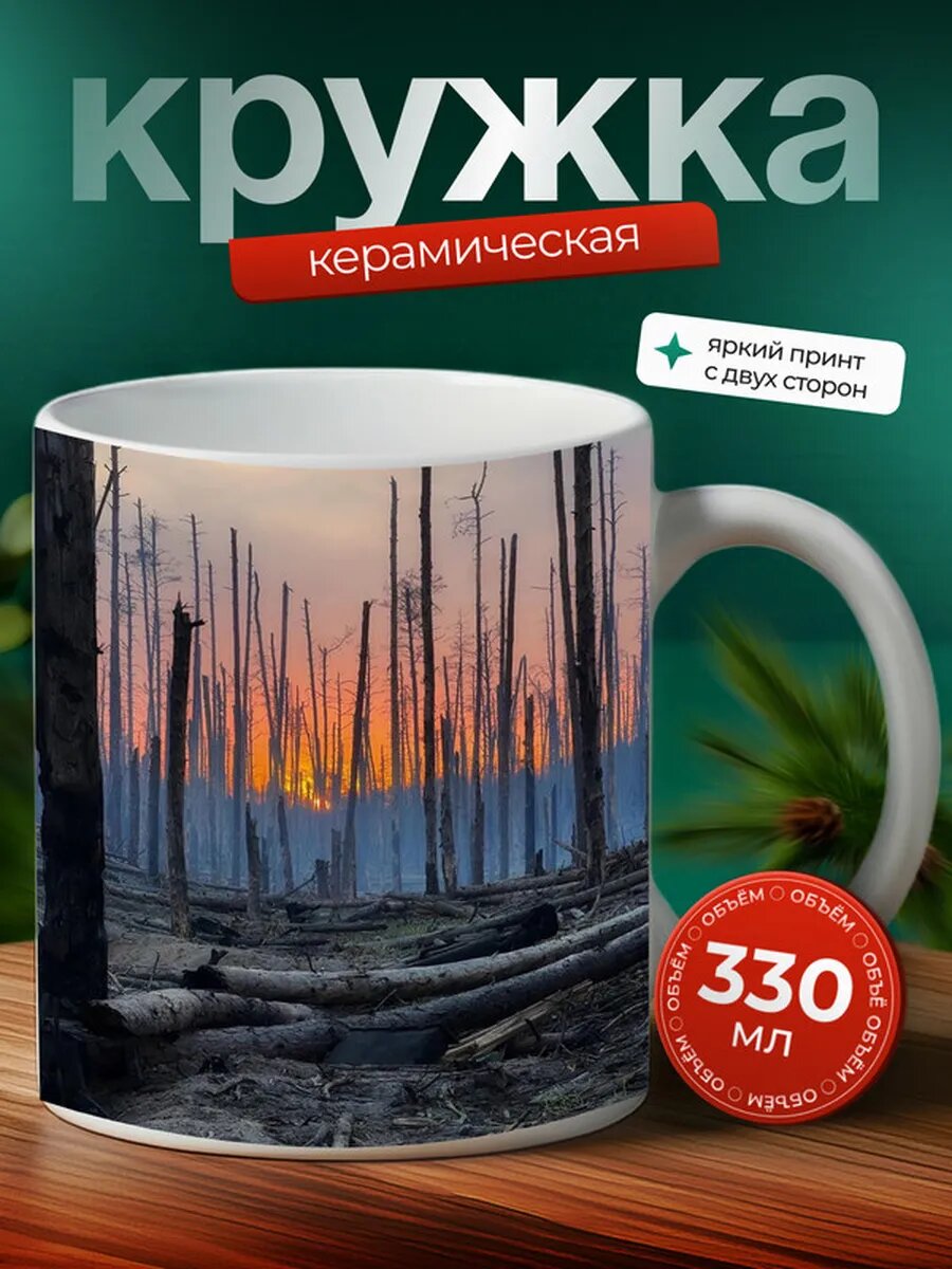 Кружка Древний лес остистых сосен 2,