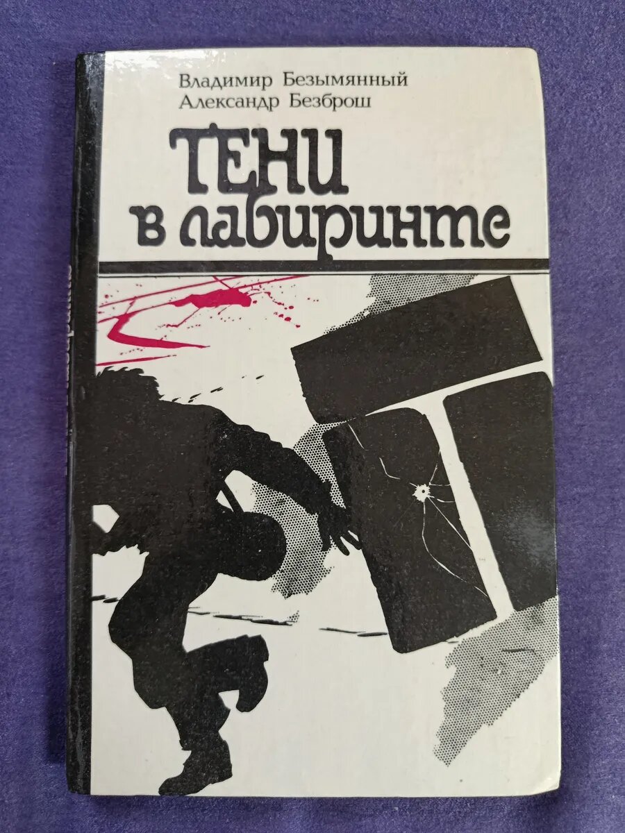 Книга В. Безымянный, А. Безброш — Тени в лабиринте