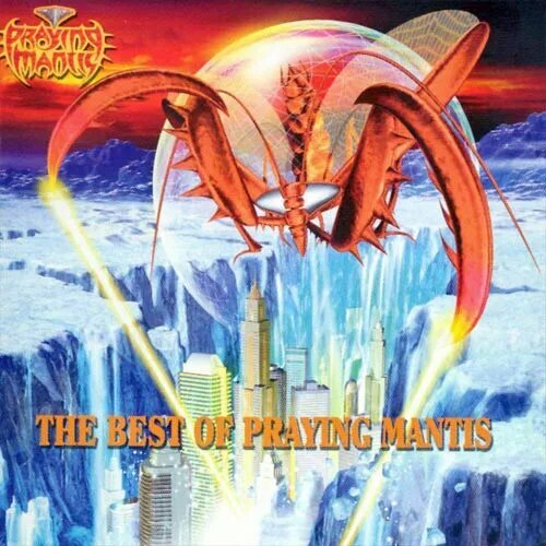 Best Of Praying Mantis