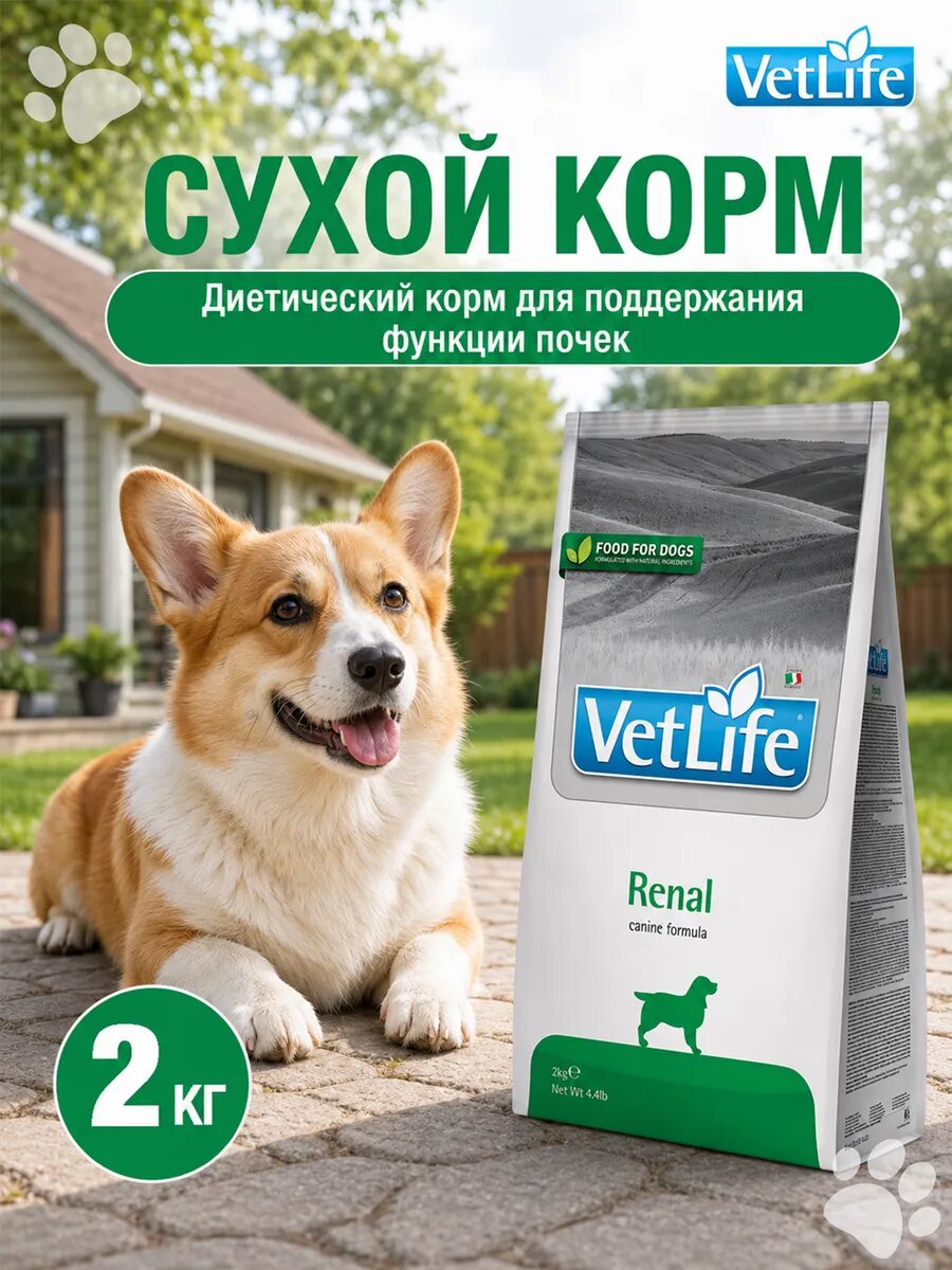 Сухой корм для собак Farmina Vet Life DOG Renal 2 кг. Для поддержания функции почек при хронической болезни почек