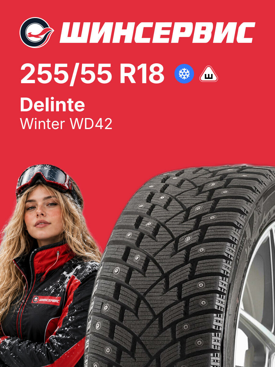 Зимняя шипованная шина Delinte Winter WD42 255/55 R18 109 T, зимняя автомобильная резина